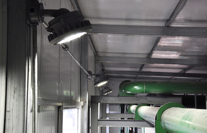 Plant, New York, USA-NJZ Lighting