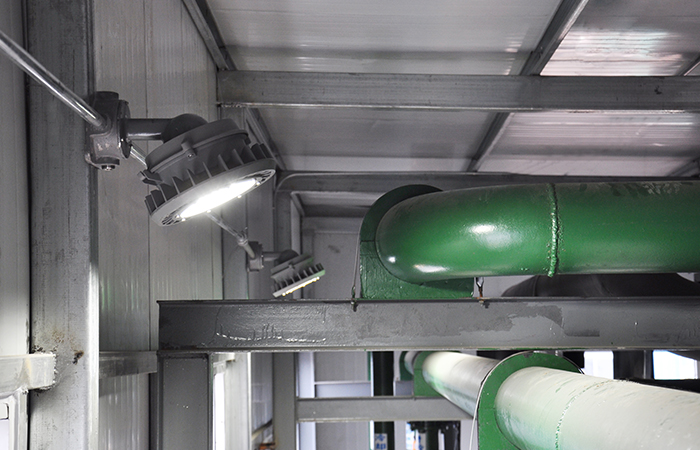 Plant, New York, USA-NJZ Lighting